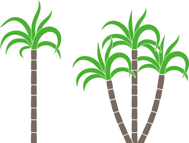 Sugar Cane Vector Images (over 18,000)