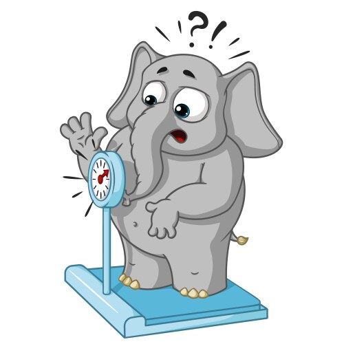 Elephant on white background cute cartoon animal Vector Image