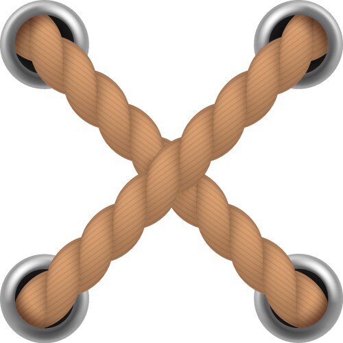 Decorative braided element three strand cord Vector Image