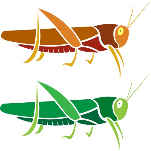 Grasshopper Vector Images (over 5,700)