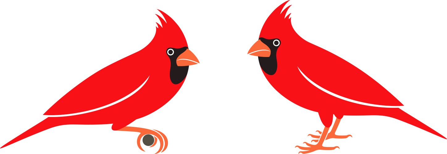 Cardinal bird Royalty Free Vector Image - VectorStock