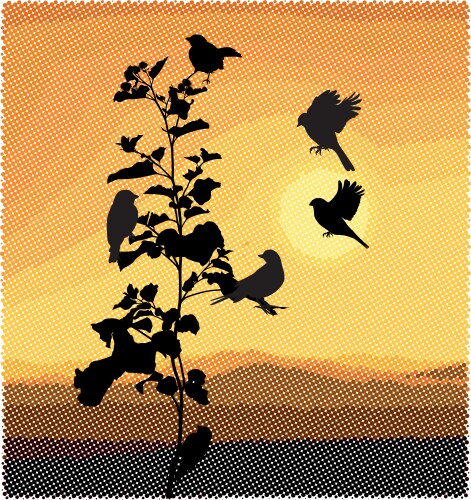 Songbirds Vector Images (over 3,700)