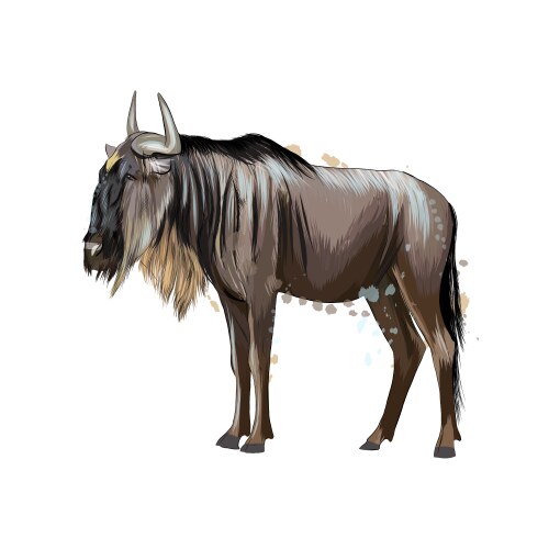 Wildebeest Royalty Free Vector Image - VectorStock
