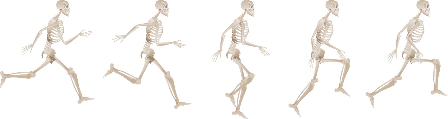 Running Skeleton Vector Images (over 370)