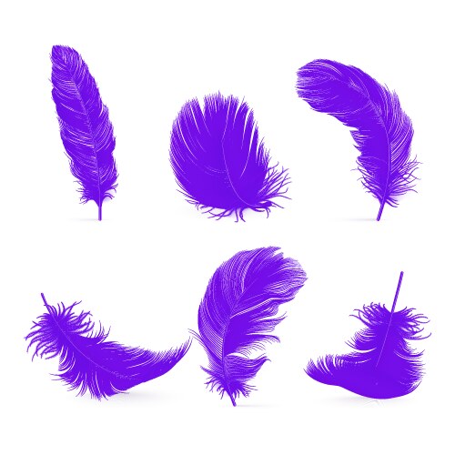 Cartoon colorful feather icons set Royalty Free Vector Image