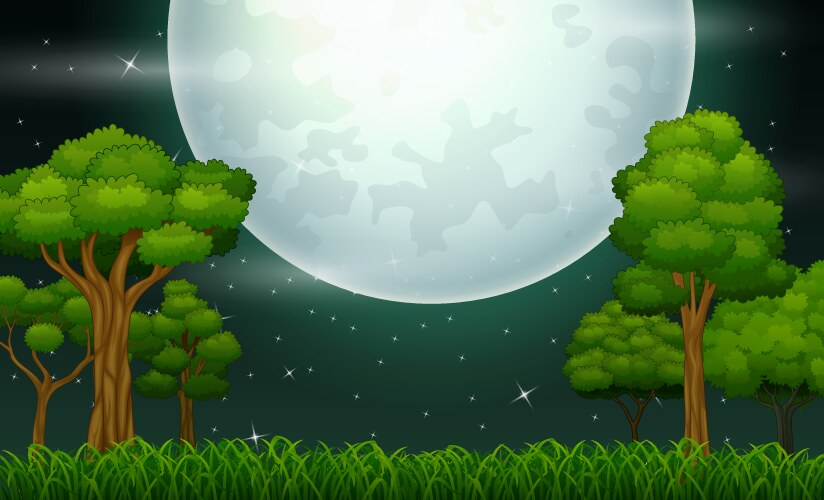 Night Time Forest Background Vector Images (over 210)