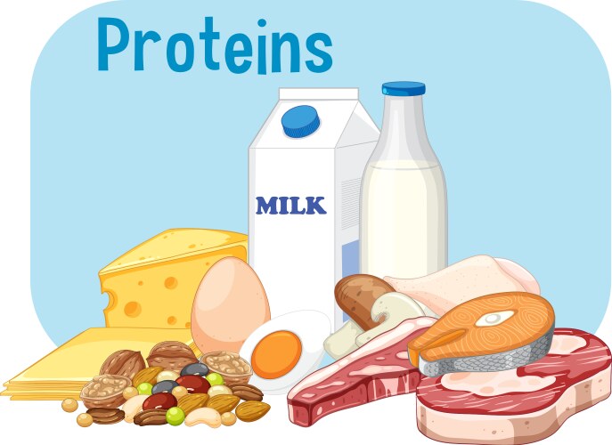 Protein Cartoon Vector Images (over 26,000)