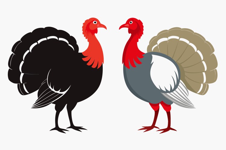Wild Turkey Vector Images (over 2,000)