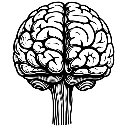 Brain hand drawn line transparent background Vector Image