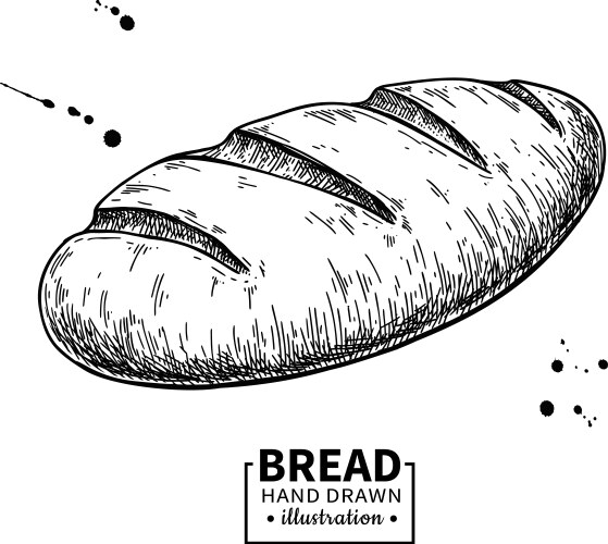 Bread drawing bakery product sketch Royalty Free Vector