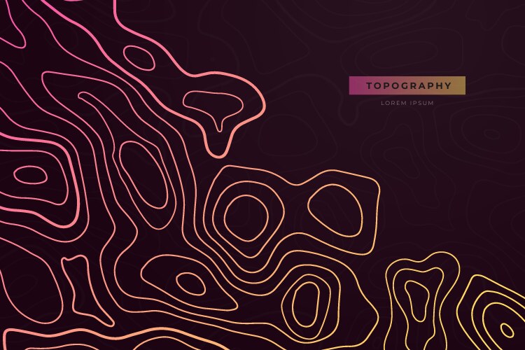 Topographic map background Royalty Free Vector Image