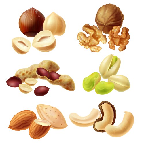 Realistic fresh nuts template Royalty Free Vector Image