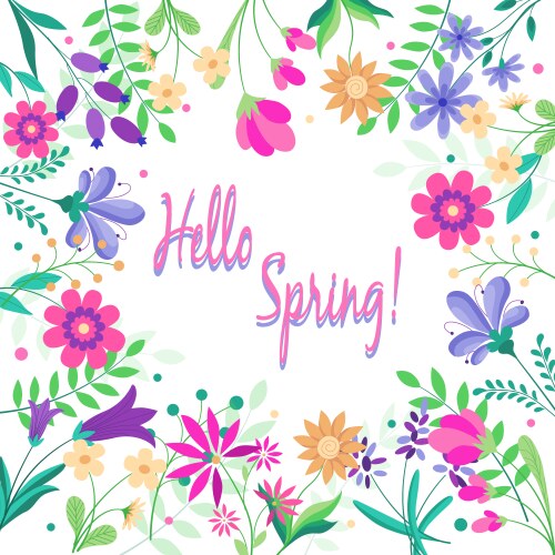 Hello spring with flowers text white background Vector Image
