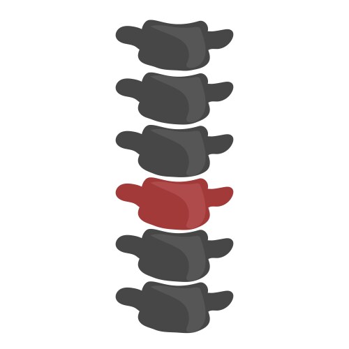 Spine Vector Images (over 32,000)