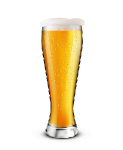 Beer glass realistic mockup alcohol refreshment Vector Image
