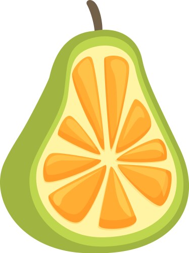 Cross Section of an Orange Vector Images (over 2,200)