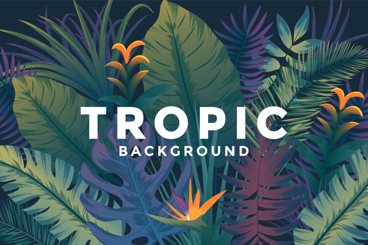 Tropical Vector Images (over 840,000)