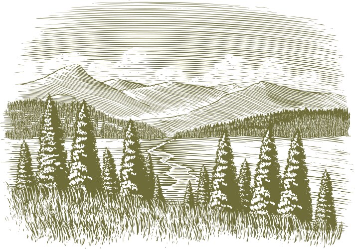 Woodcut mountain lake scene Royalty Free Vector Image