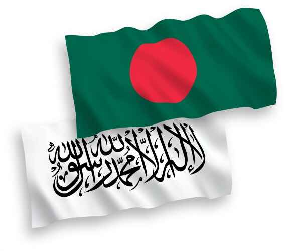 Taliban & Uzbekistan Flags Royalty Free Vector Image