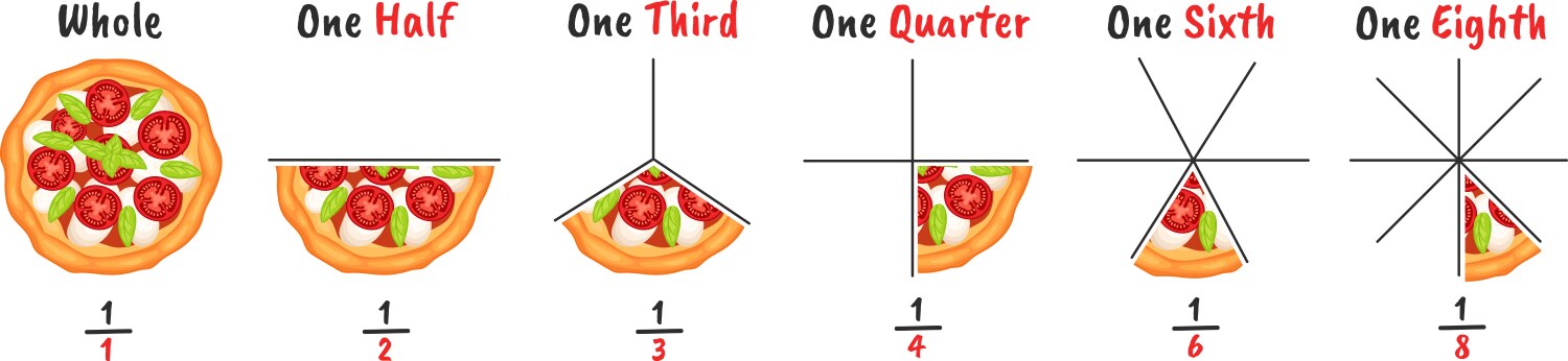 Fraction pie divided into slices fractions Vector Image