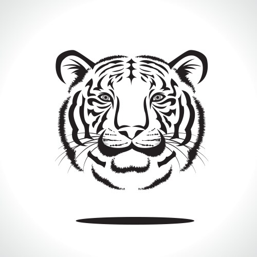 Tiger face drawing animal Royalty Free Vector Image