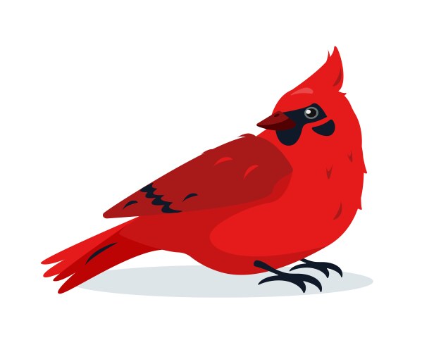 Red cardinal bird Royalty Free Vector Image - VectorStock