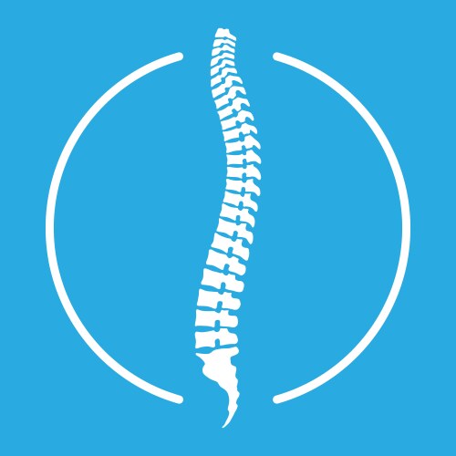 Spine Vector Images (over 32,000)