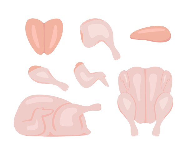 Broiler chicken Vector Images & Graphics for Commercial Use | VectorStock