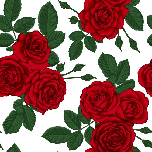 Seamless from roses Royalty Free Vector Image - VectorStock