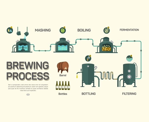 Beer infographic or brewery line factory process Vector Image