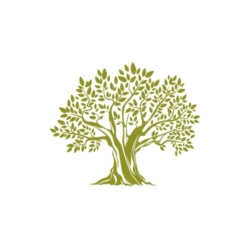 Olive Tree Vector Images (over 250,000)