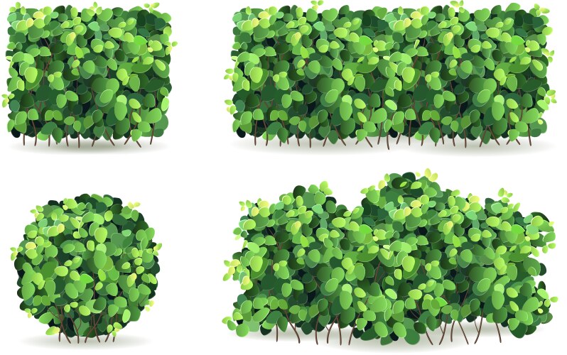 Bushes Vector Images (over 94,000)