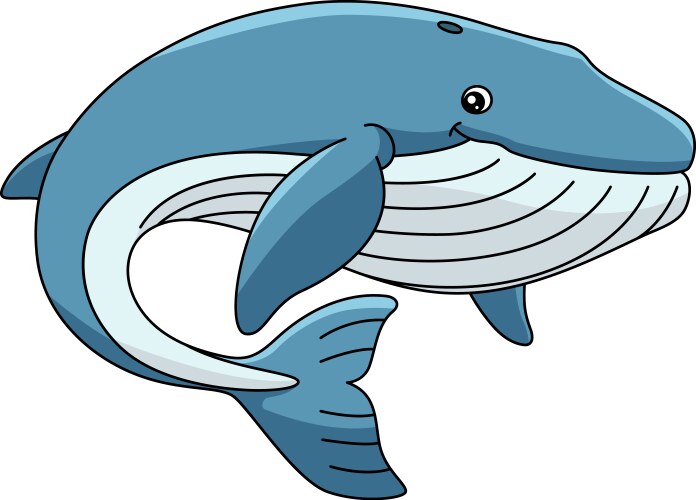 Clip Art Whale Whale Breeds Clipart Cute Whale Clip Art By Inkley