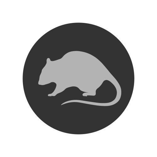 Rat Vector Images (over 30,000)