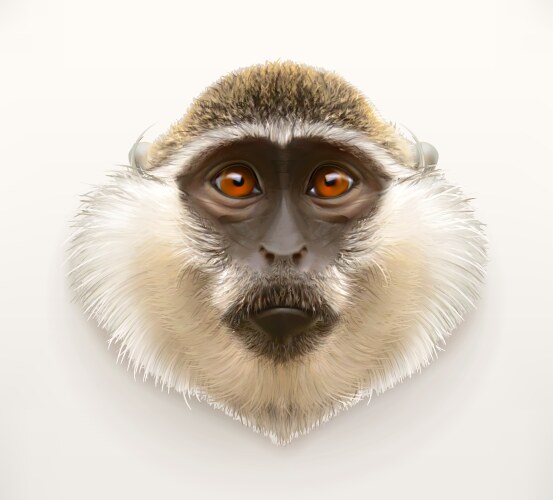Realistic Monkey Drawing Vector Images (over 420)