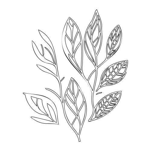 Parallel leaf floral outline sketch Royalty Free Vector
