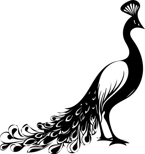 Peacock Silhouette Royalty Free Vector Image Vectorstock