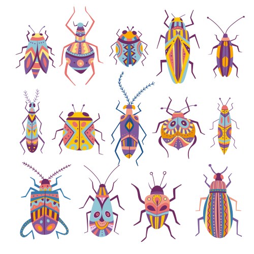 Beetles Royalty Free Vector Image - VectorStock