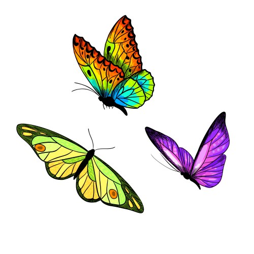 Set three watercolor butterflies Royalty Free Vector Image