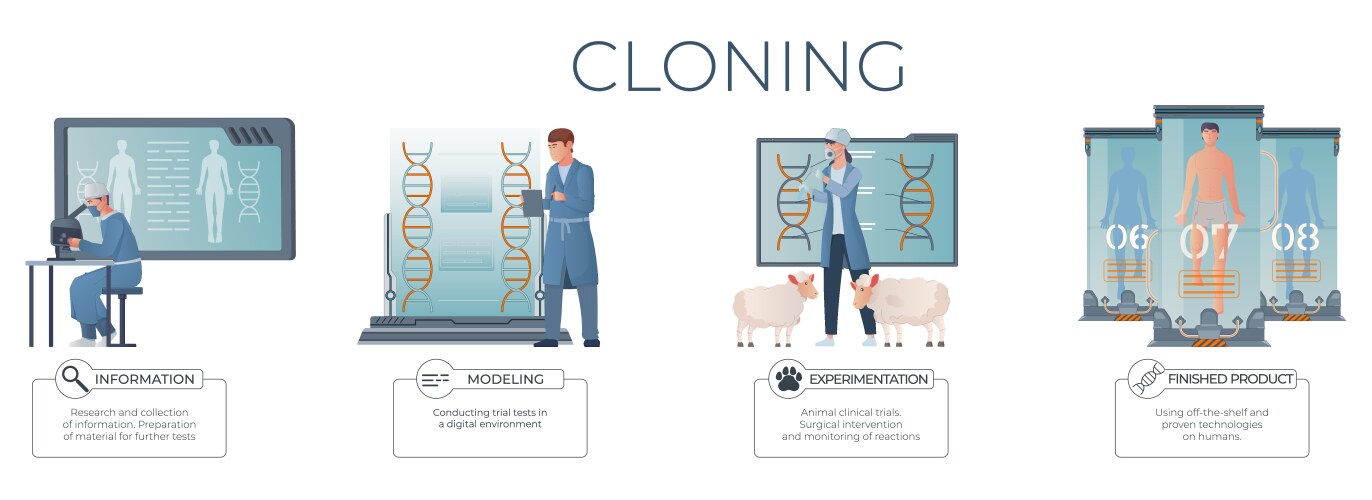 Cloning scheme flat infographics Royalty Free Vector Image