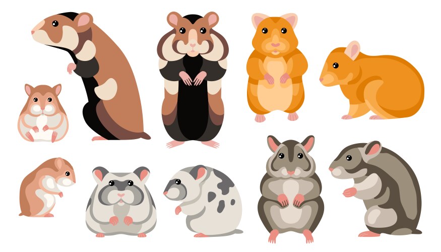 Hamster Vector Images (over 9,000)