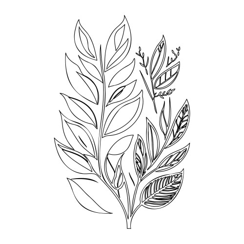 Parallel leaf floral outline sketch Royalty Free Vector