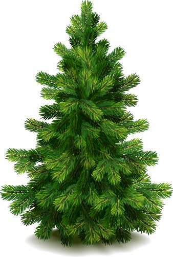 Pine Tree Black and White Vector Images (over 53,000)