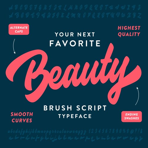 Retro brush script lettering font handwritten Vector Image