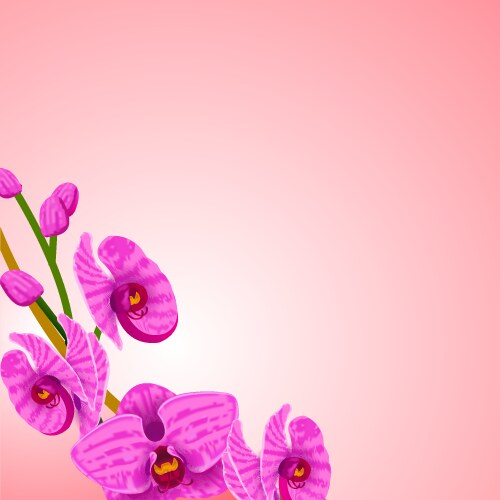 Orchid design Royalty Free Vector Image - VectorStock