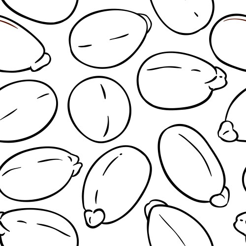 Castor Seed Vector Images (over 120)