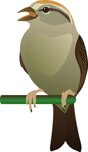 Bird Vector Images (over 540,000)