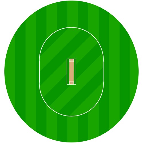 Cricket Field Top View Royalty Free Vector Image