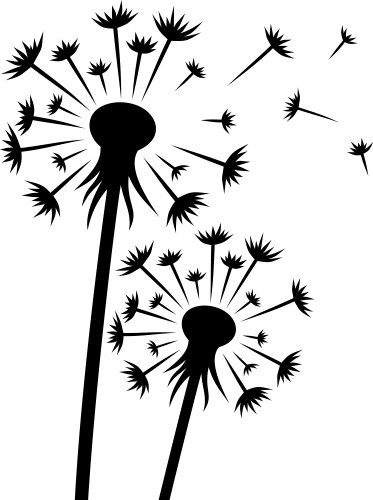 Dandelion Vector Images (over 14,000)