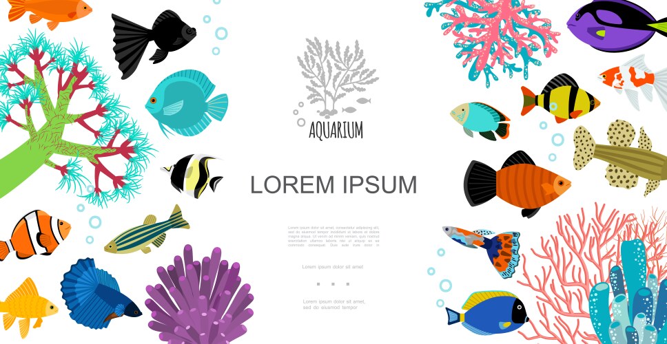Aquarium setup realistic infographics Royalty Free Vector